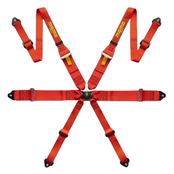 Harnesses – Car Builder Solutions