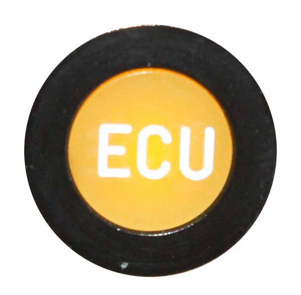 LED Black Bezel Warning Light Engine Check – Car Builder Solutions