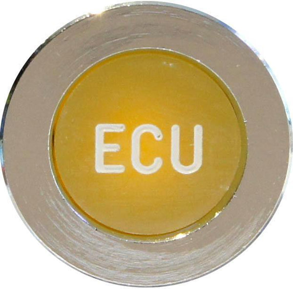 LED Chrome Bezel Warning Light ECU Amber – Car Builder Solutions